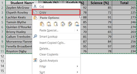 How To Copy From Excel To Word Without Losing Formatting Excel Insider
