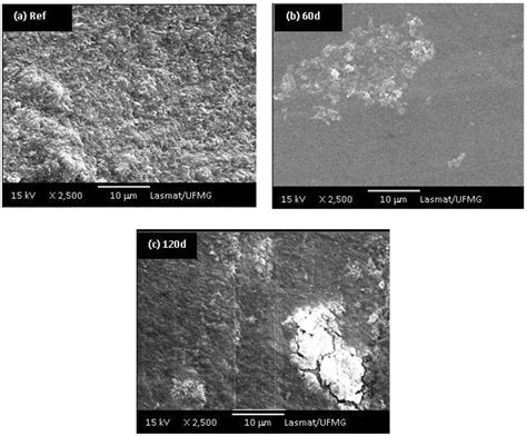 Materials Special Issue Biocompatibility Of Materials