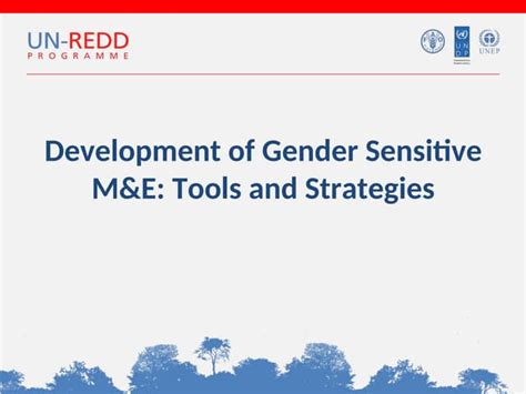 Sample Ppt Gender Sensitive Indicator Development Ppt