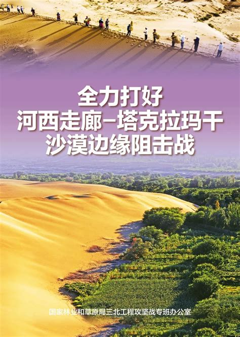 三北工程三大标志性战役全面启动后怎么打 中国网