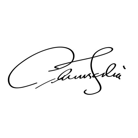 Signature Stamp Pre Ink Signature Stamp Pre Ink Signature Seal Computerized Signature Stamp
