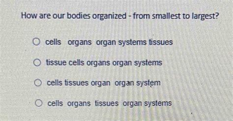 solved how are our bodies organized from smallest to largest cells