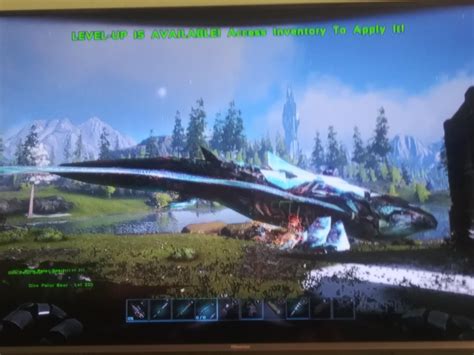 My First Astrocetus R ARK