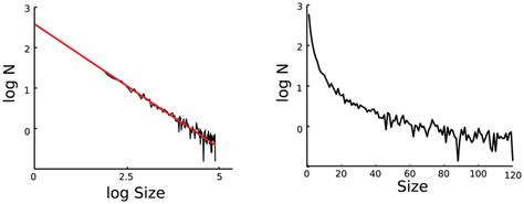 Avalanche Analysis Of A Simulated Neural Network Displaying