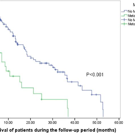 Survival Of The Hcc Patients Over The Follow Up Period Download
