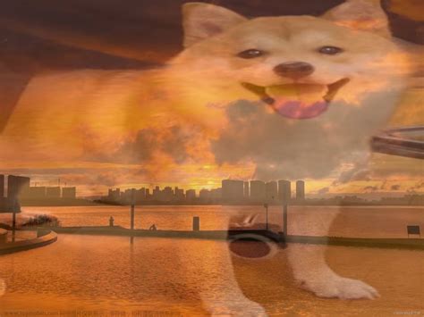 【opencv】 图片无缝融合 Toy模板网