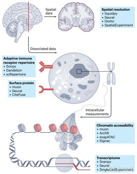热点综述 跨模态单细胞分析的最佳实践 知乎