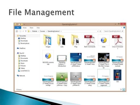 511 Describe The Three Types Of File Structure Learningoperatingsystem