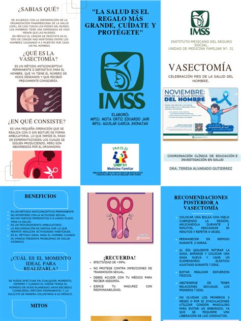 Tríptico Vasectomia Mes Del Hombre Pdf Condón La Sexualidad Humana