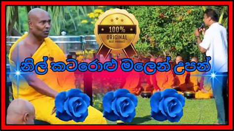 Nil Katarolu Malen Upan Munindrayaneni Official Song නිල් කටරොළු මලෙන් උපන් Samanthabadra