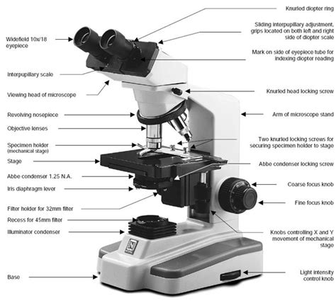 Choosing A Microscope Make Diy Projects And Ideas For Makers