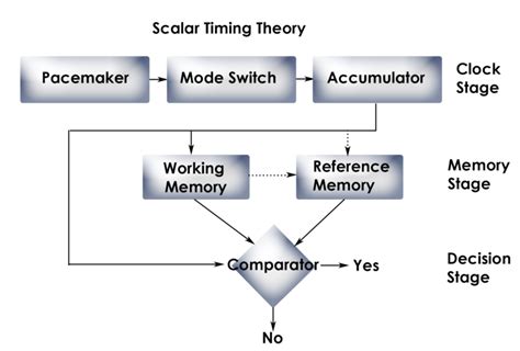 2 Scalar Timing Theory 19 Download Scientific Diagram