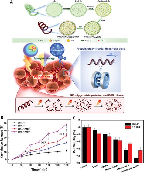 Biohybrid Micro Nanorobots Pioneering The Next Generation Of Medical Technology Pmc