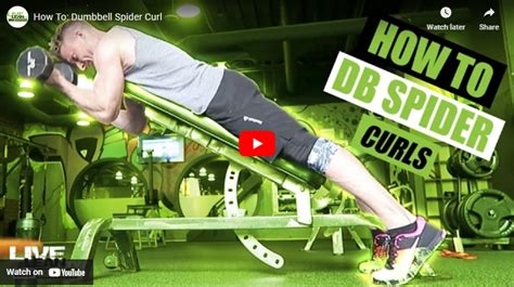 Mastering Spider Curls Live Lean Tv Medium