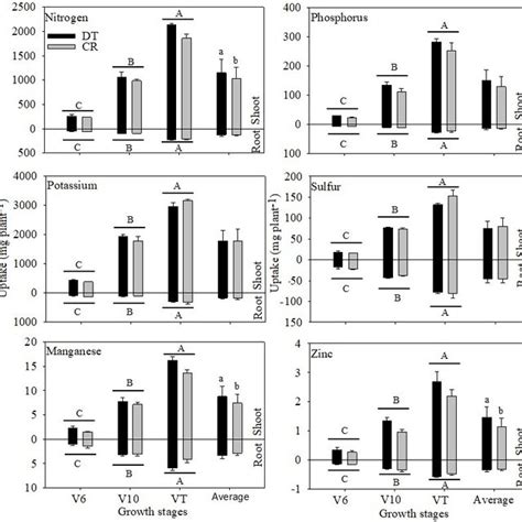 Soybean Nutrient Uptake By Shoot And Root Plant Parts During The V3 And Download Scientific