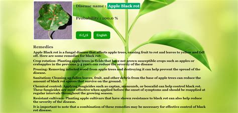 GitHub SainathSY GreenGuardMFRT Green Guard Is A Web Application For Plant Leaf Disease