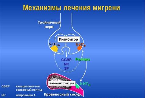 Релпакс: инструкция по применению, отзывы и аналоги