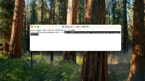 How To Fix An Incessant X Is Accessing Your Screen Bug In Macos Sequoia Macos Discussions On
