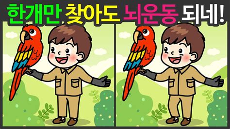 【다른그림찾기】한개만 찾아도 뇌운동 효과 두뇌회춘 시키는 두뇌훈련 인지력 집중력 관찰력 기억력 강화 두뇌게임【틀린그림찾기