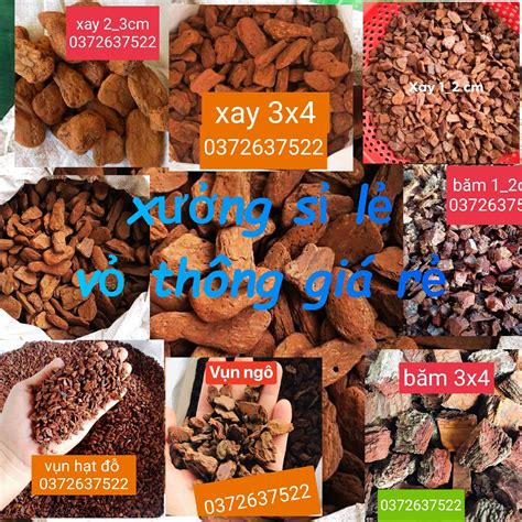 Thư Viện Huyện Long Hồ Vĩnh Long GiỚi ThiỆu SÁch Quyển Sách “gia đình Những Giá Trị Truyền