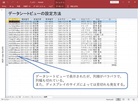 便利！！accessフォームにおけるデータシートビューの活用 簡単！！access作成方法の紹介