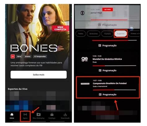 São Paulo X Grêmio Ao Vivo Onde Assistir Ao Jogo Do Brasileirão Online