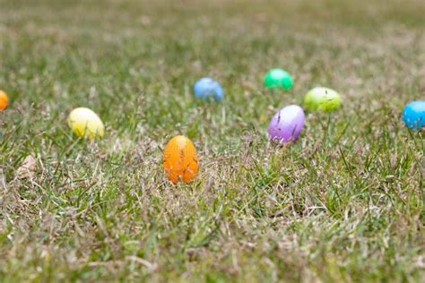 Multi Color Easter Eggs In The Green Grass Stock Image Image Of Multi