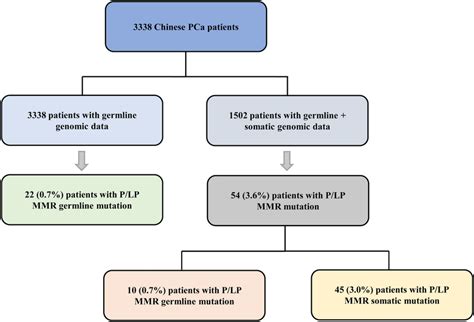 Cohort Summary A Total Of 3338 PCa Patients Were Included In Our Study Download Scientific
