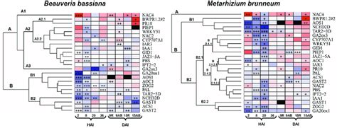 Heatmaps Comparing Relative Gene Expression N 3 Biological