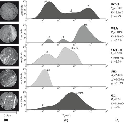 The Similarity Of Pore Size Distribution Determined By Nmr T 2 Download Scientific Diagram
