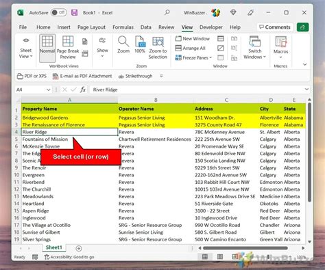 How To Freeze A Row Or Column In Excel Winbuzzer