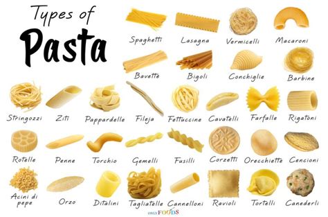 15 Types Of Pasta Shapes To Know And Love Sutta Chai Bar