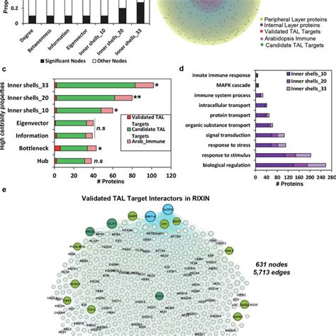 Weighted K Shell Decomposition Identifies Internal Layer Proteins Have Download Scientific