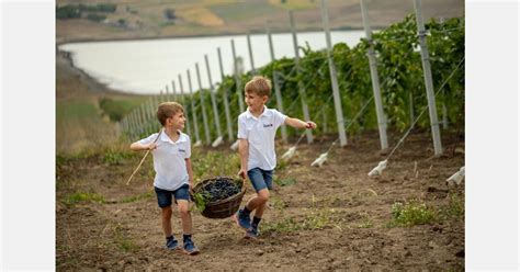 Con Una Linea Flow Pack Per Uva E Drupacee Siamo Ben Posizionati Per Rifornire I Retailer