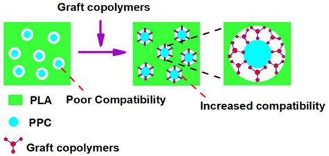 How Does The Addition Of A Compatibilizer Affect The Morphology And