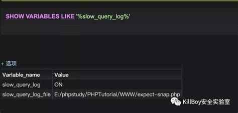 phpmyadmin爆破工具使用 记一次phpmyadmin弱口令导致的getshell csdn博客