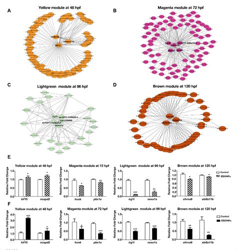 Figure 2 From Comparative Transcriptomics Revealed Neurodevelopmental