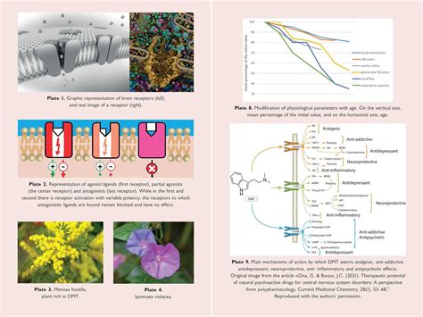 The Neuroscience Of Psychedelics Book By Genís Ona José Carlos Bouso Official Publisher