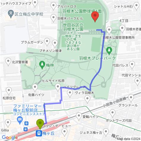 梅ヶ丘駅から羽根木公園野球場へのルートマップ Mdata
