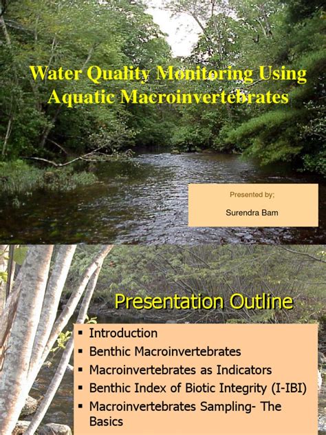 Benthic Macroinvertebrates Water Quality Benthic Zone