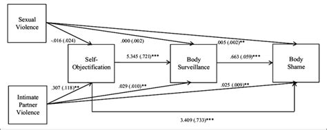 Empirical Model Of Sexual Violence And Intimate Partner Violence