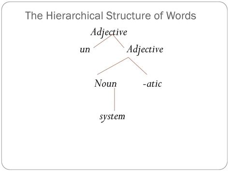 An Introduction To Language Ppt Download
