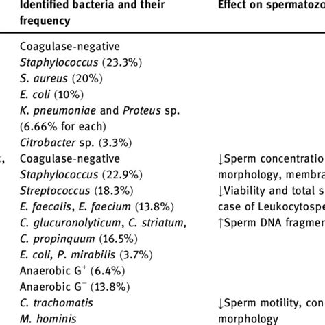 The Process Of Bacteria Promoted Sperm Agglutination The Agglutinating Download Scientific