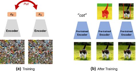 Illustration Of SSL A Fig Showed SSL On A Single Sample And Here It Download Scientific
