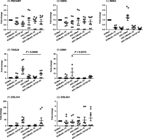 Gene Expression Mrna Of Endothelial Markers A Pecam1 B Cdh5 And C Download Scientific