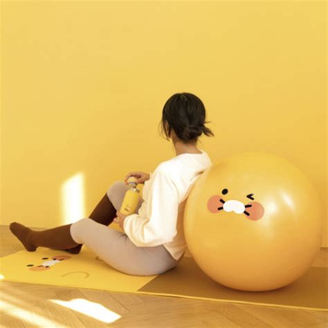 카카오프렌즈 춘식이 짐 볼 두사몰