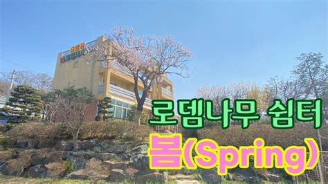 로뎀나무 이야기7 봄 함께 봄💐🌷ㅣ로뎀나무에 찾아온 봄🏡🌸🌺 Youtube