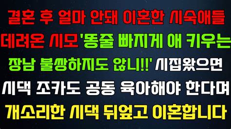 반전 신청사연 결혼 후 얼마안돼 이혼한 시숙애들 키우란 시모 시집왔으면 시댁 조카도 공동육아 해야한다는 시댁 뒤엎고 이혼합니다라디오드라마사연실화사연의 품격썰