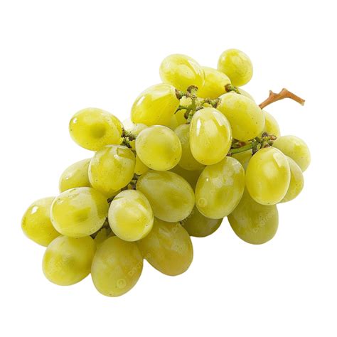 녹색 포도의 신선한 무리 청포도 포도 다발 신선한 Png 일러스트 및 이미지 에 대한 무료 다운로드 Pngtree