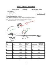 Week Lab Report Template Docx Pdf Week Lab Report Radioactivity Date Section